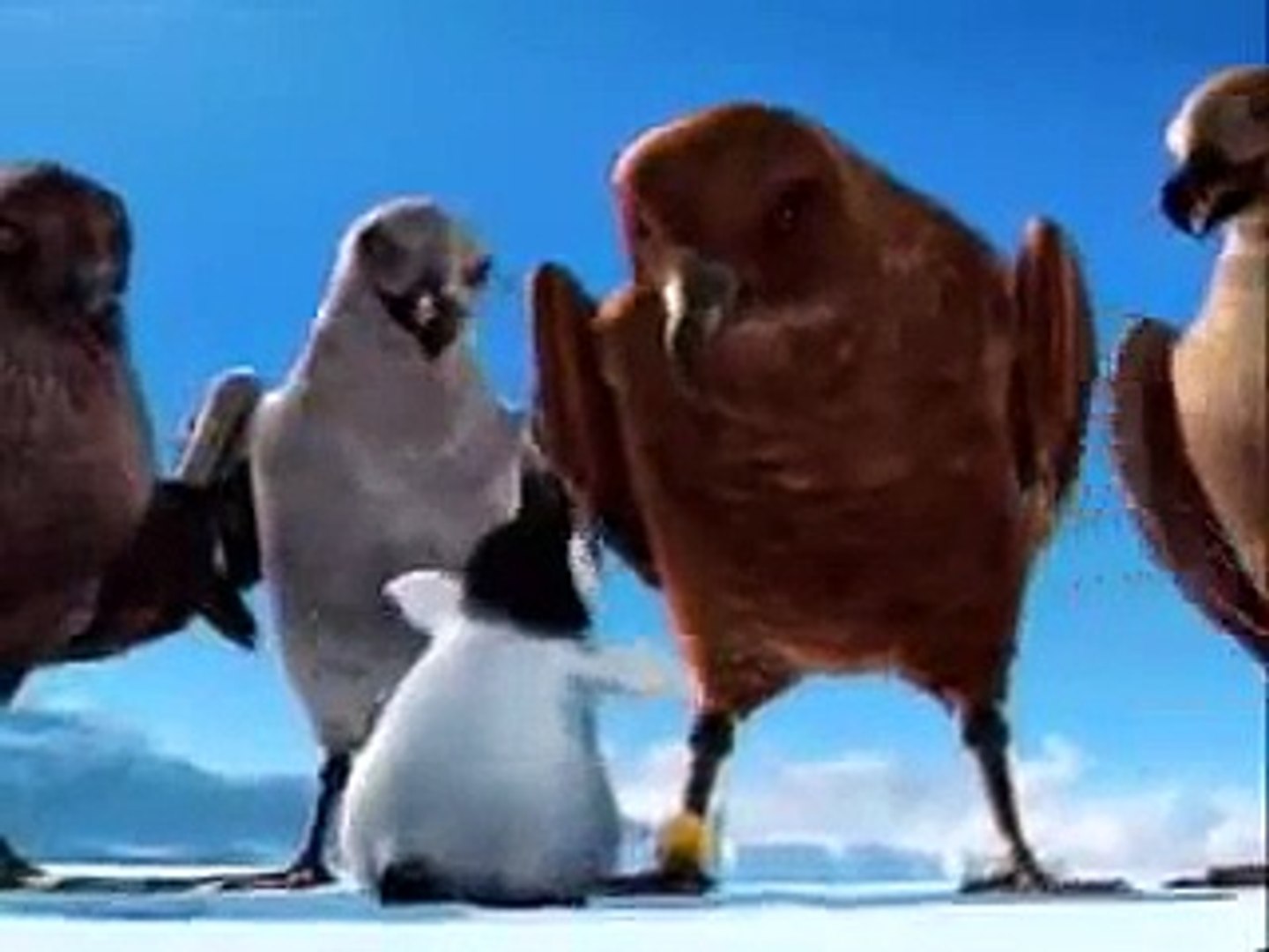 Happy Feet Skua Skua Bird Facts A Z Animals