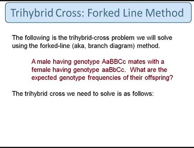 Trihybrid Cross Forked Line Method