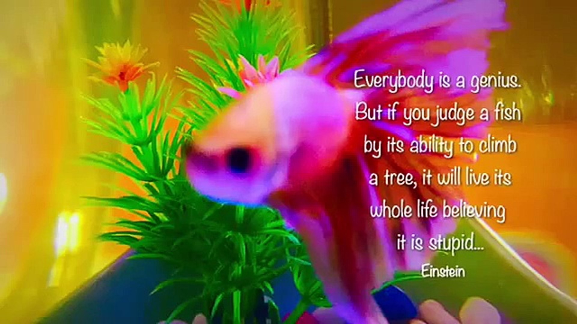 Fish Climbing Tree Quote Canvas Print Of Albert Einstein Quote