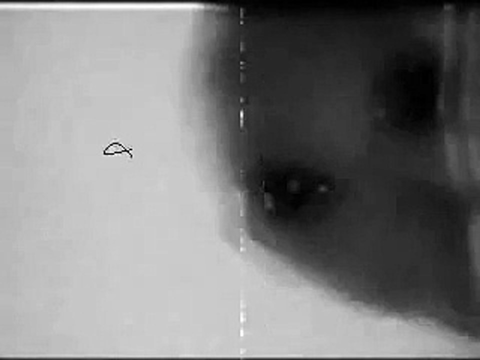 Alien EBE Grey Type 1 - video Dailymotion