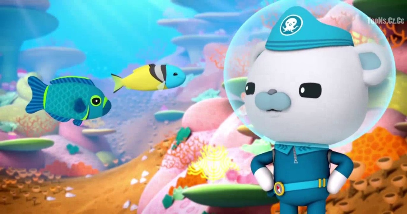 The Octonauts - Damselfish (S02E09) - video Dailymotion