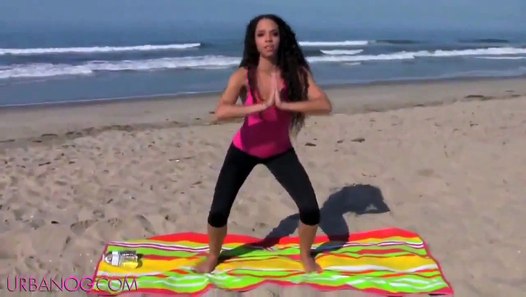 Denise Austin Ultimate Fat Burn Workout - BeFiT - video dailymotion