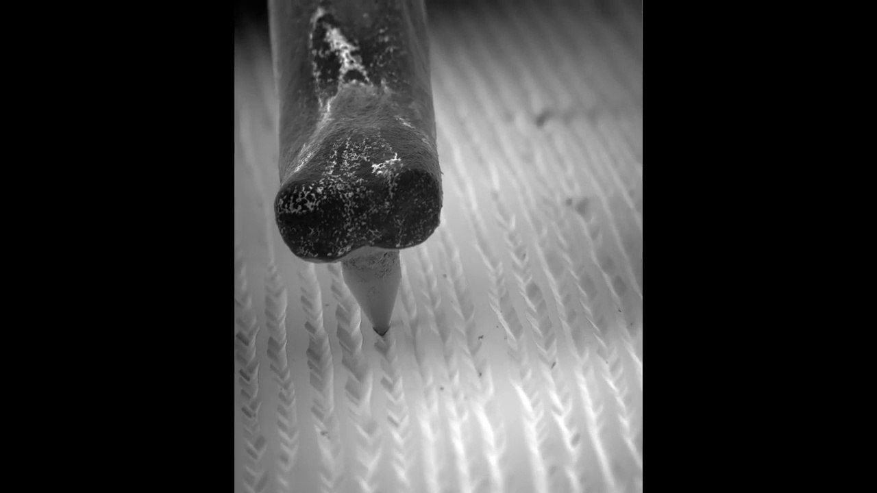 Watch a needle on vinyl record under an electronic microscope - Vidéo ...