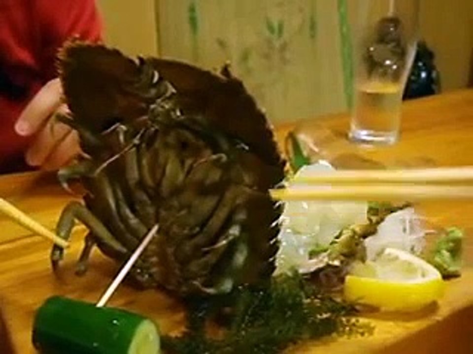 Eating Live Seafood - video Dailymotion