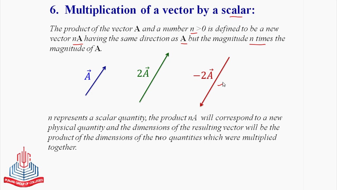 Multiplication Of A Vector By A Scalar Video Dailymotion