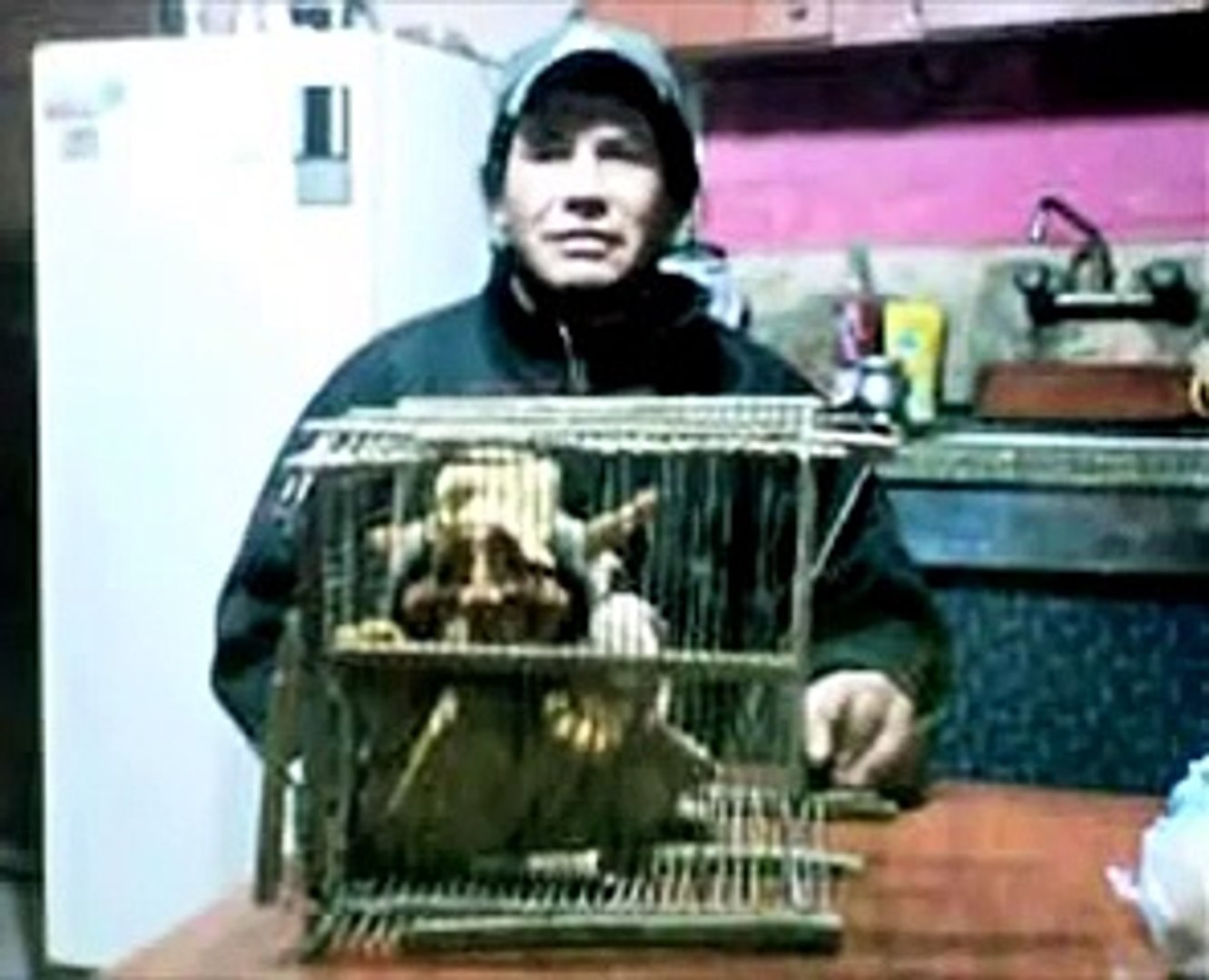 Duendes En Vida Real