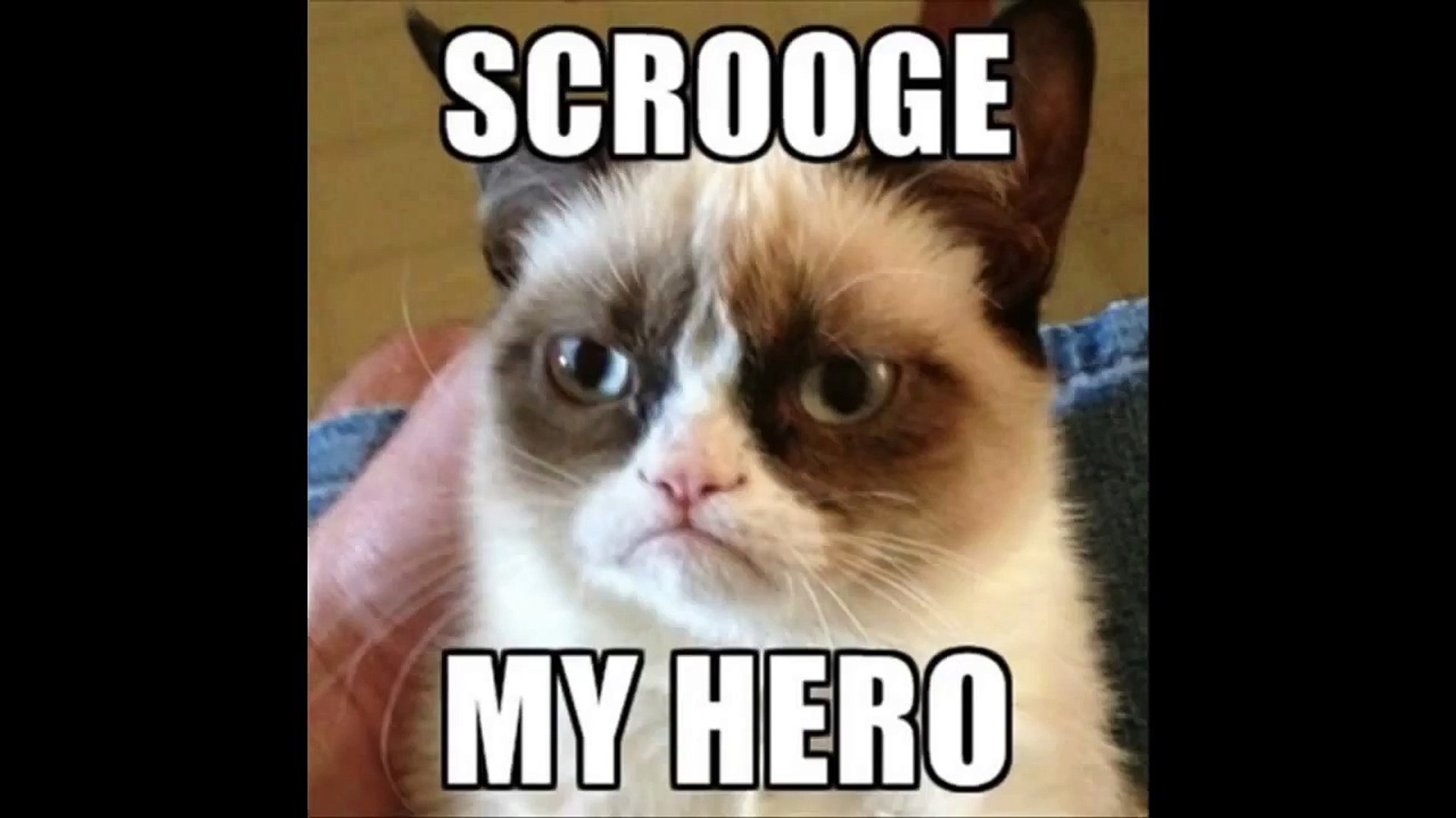 Grumpy Cat With Captions Christmas