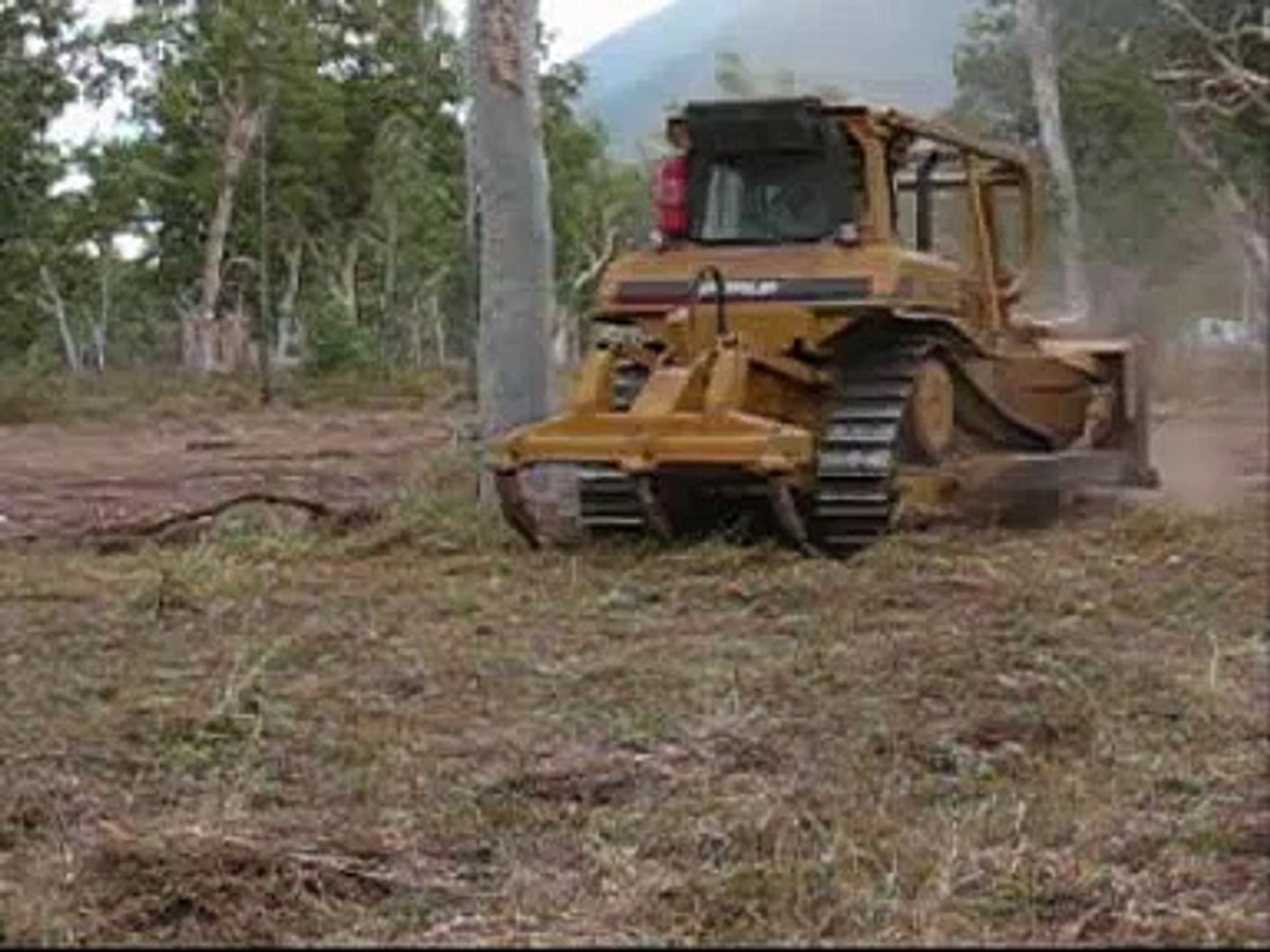 Cat Bulldozer Clearing Trees