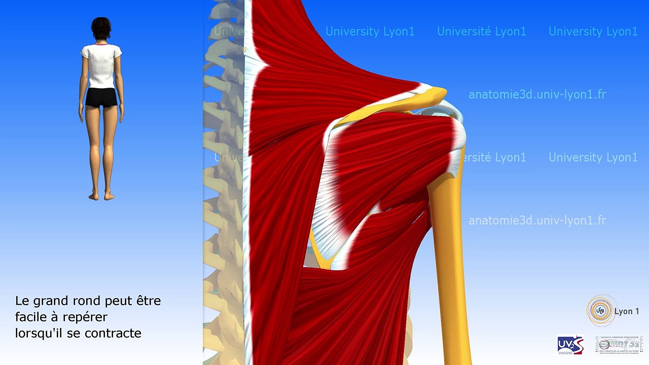Le grand rond - Vidéo Dailymotion