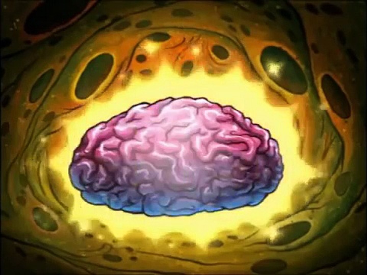 Stuck In The Wringer