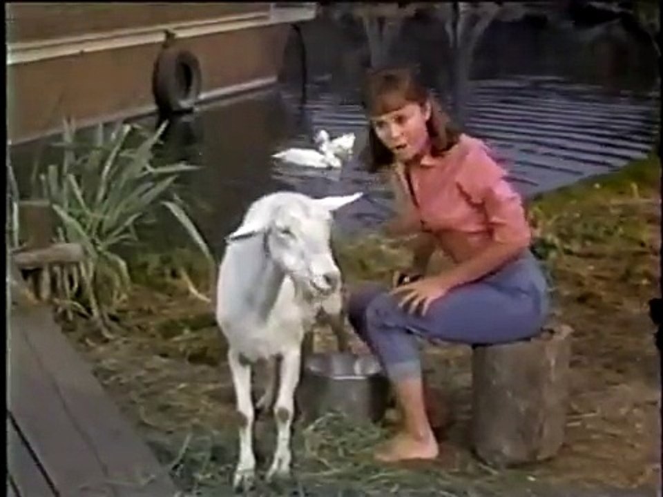 TAMMY AND THE MILLIONAIRE 1967 - Debbie Watson, Denver Pyle - video ...