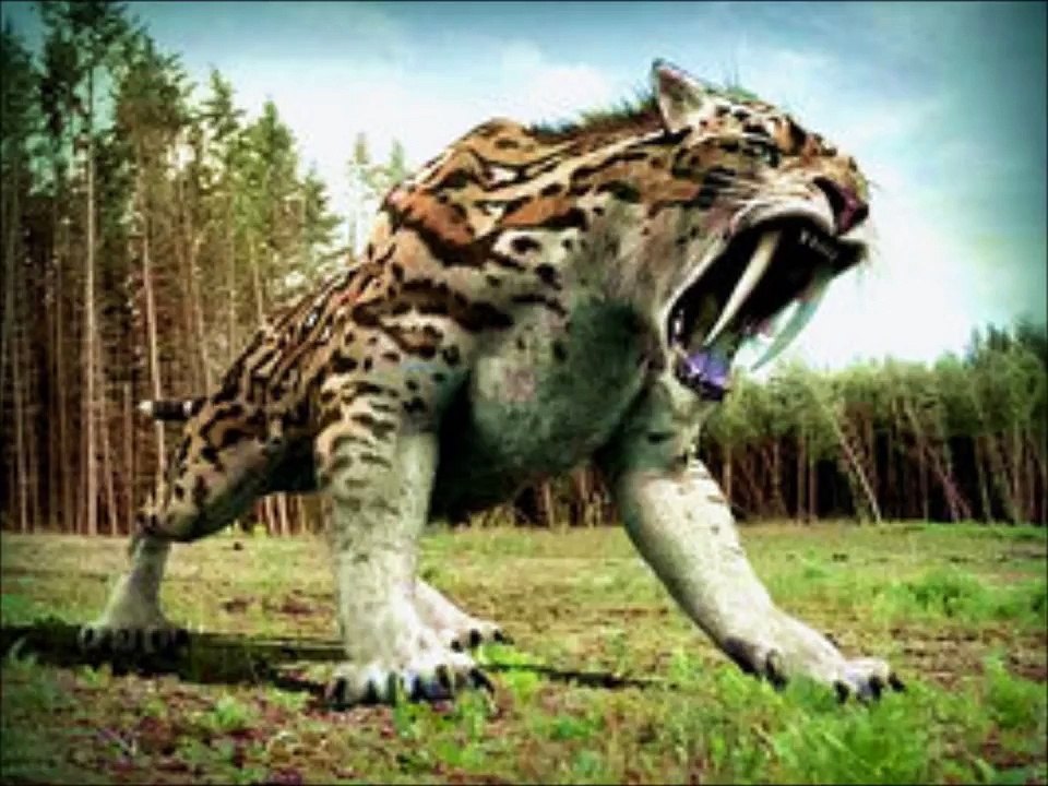 Dire wolf vs Saber Tooth Tiger - video Dailymotion