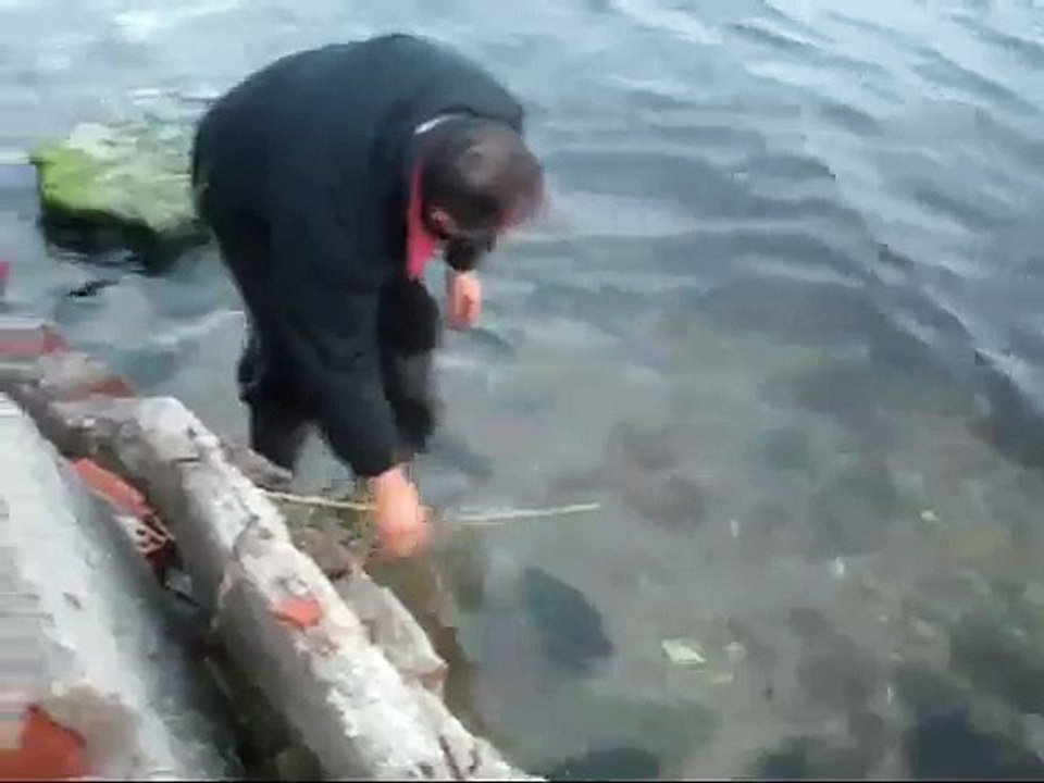 ΚΑΒΟΥΡΙΑ ... ΨΑΡΕΜΑ ΜΕ ΚΙΟΥΡΤΟ - video Dailymotion