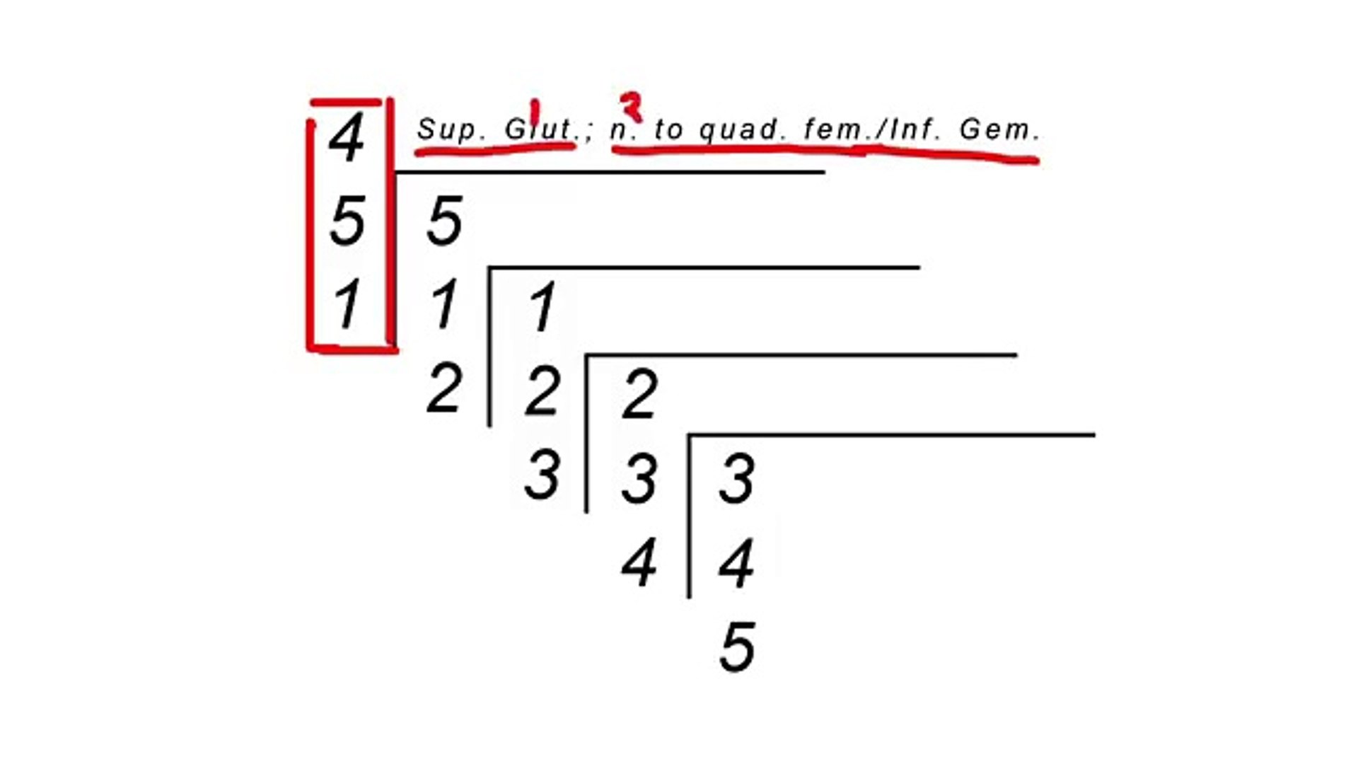 Sacral Plexus Mnemonic