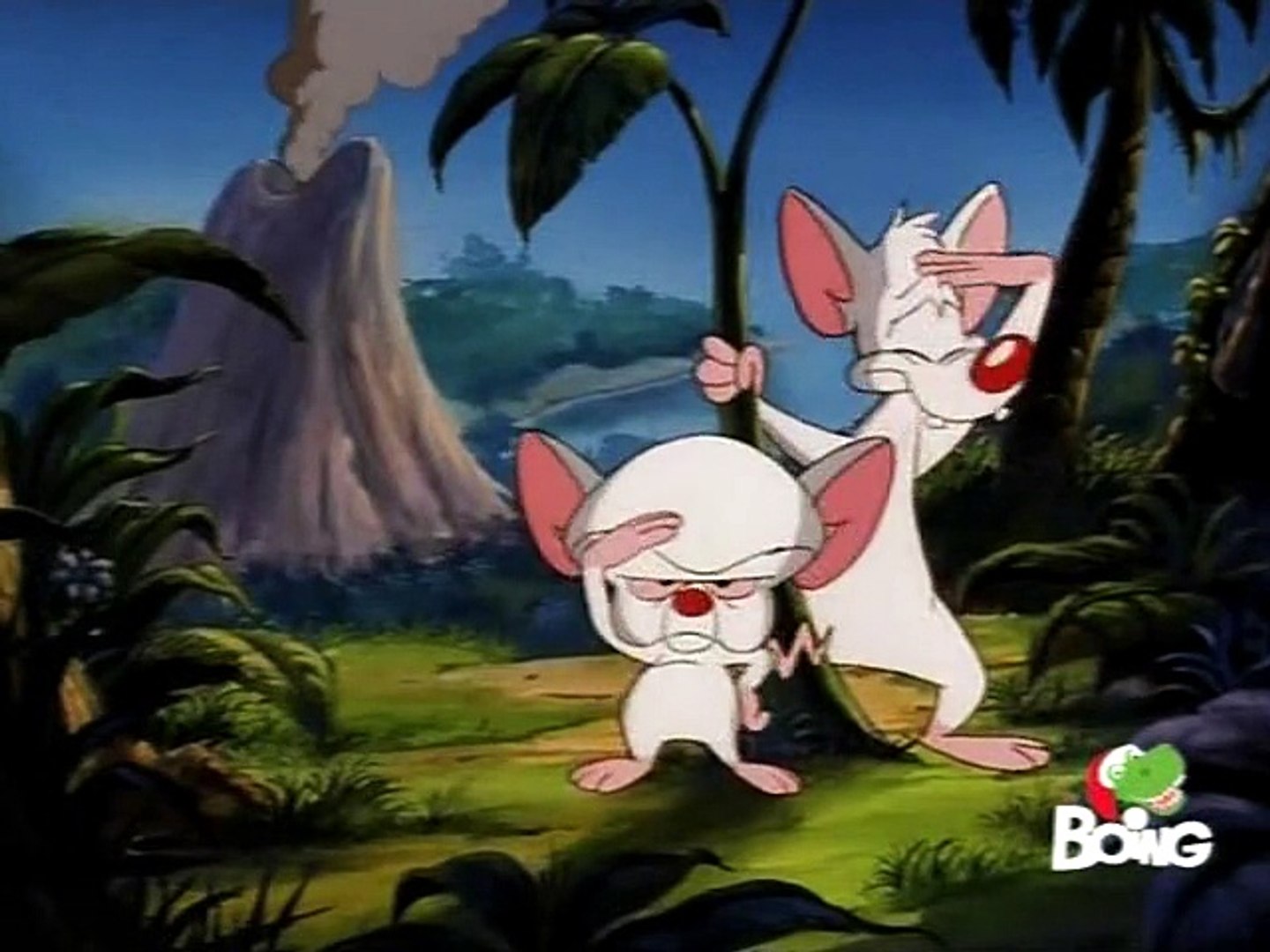 Cartone Animato Cervello Mignolo Mignolo Col Prof. Pinky And The