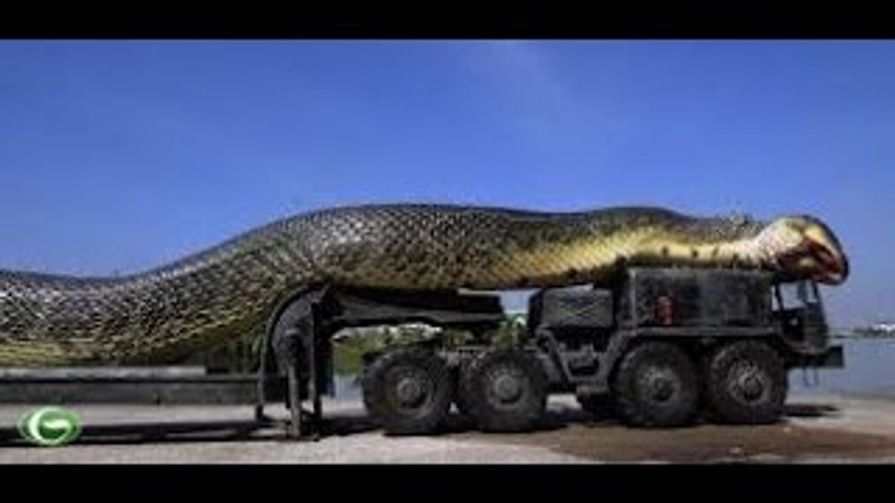 WORLD S LARGEST BIGGEST SNAKE WAS FOUND IN AUSTRALIA Video Dailymotion