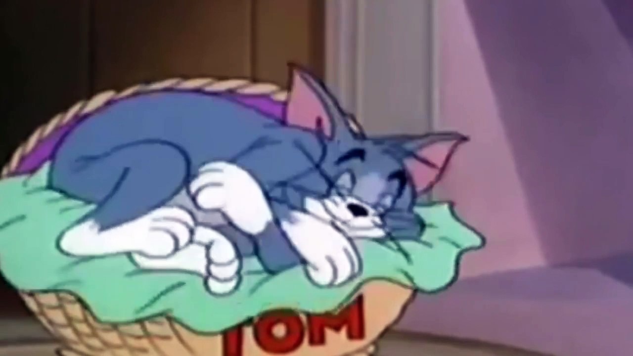 Tom and Jerry with his old friend the elephant high quality ...