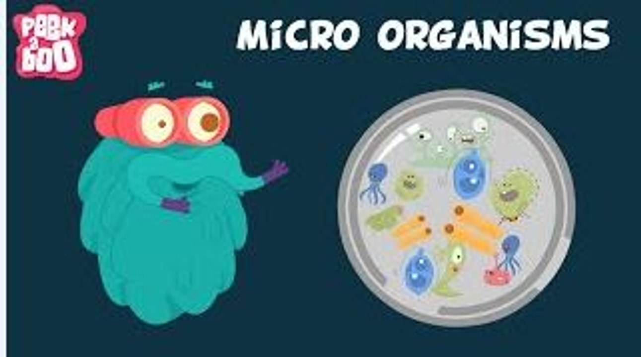 Microorganisms | The Dr. Binocs Show | Learn series for kids - video ...
