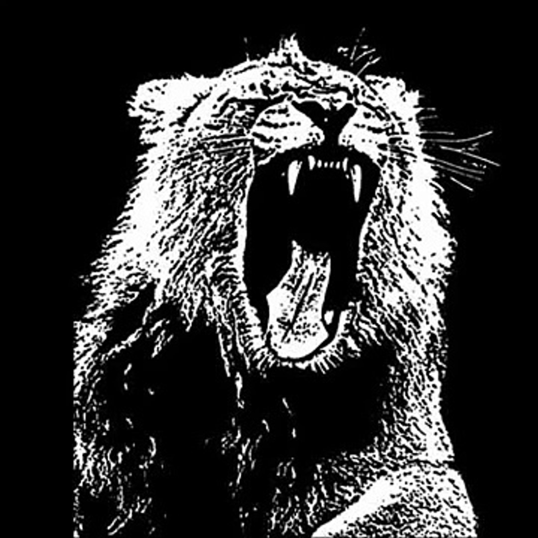 Martin Garrix Animals Mask