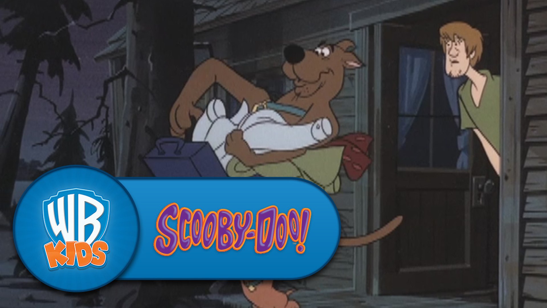 Scrappy Doo Puppy Power