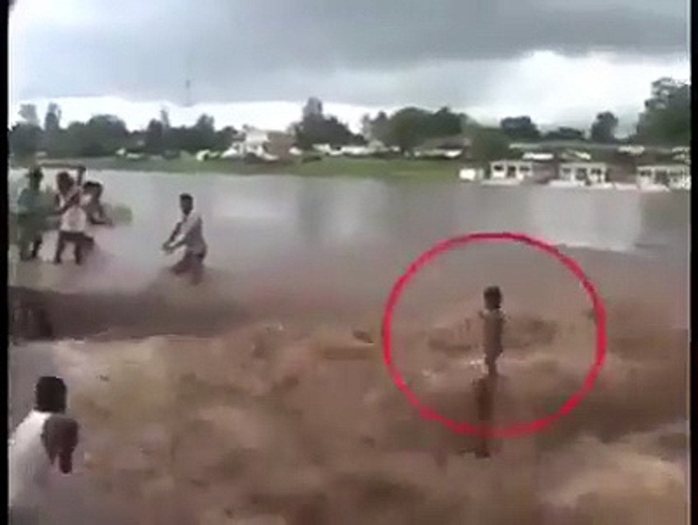 Unbelievable Miracles Of Allah Dawkins, Hasan, And The Tale Of The