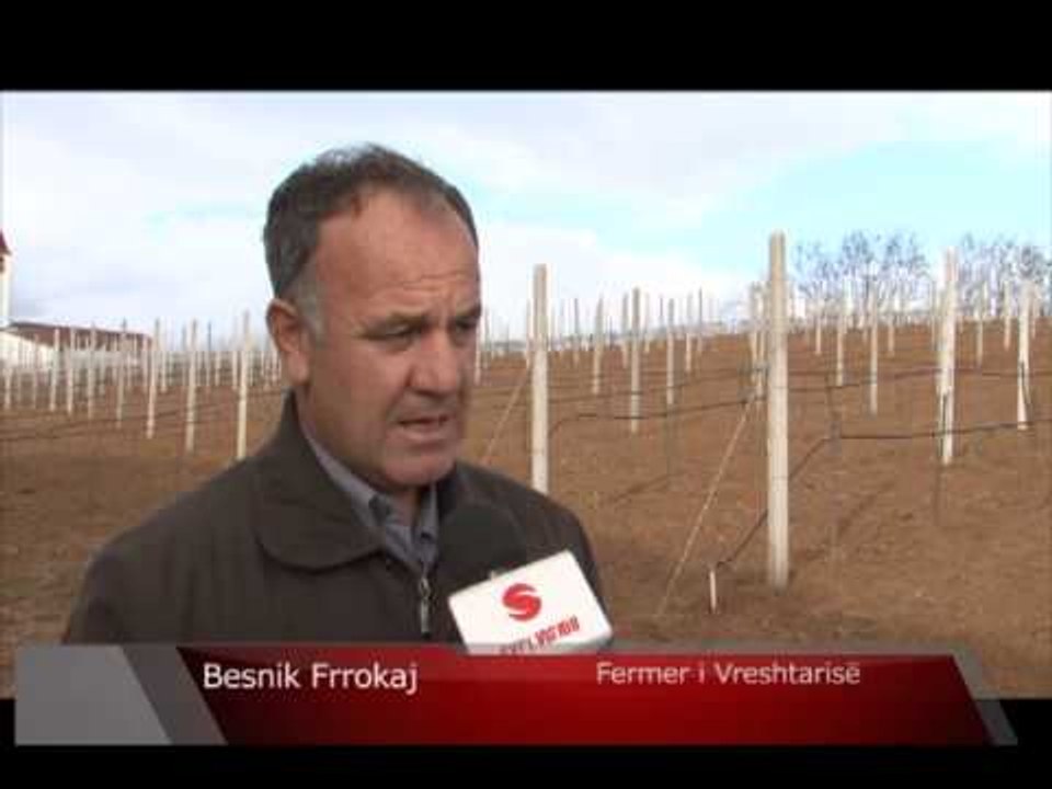 Lajme - Vreshtaria në fshatin Planqor - video Dailymotion