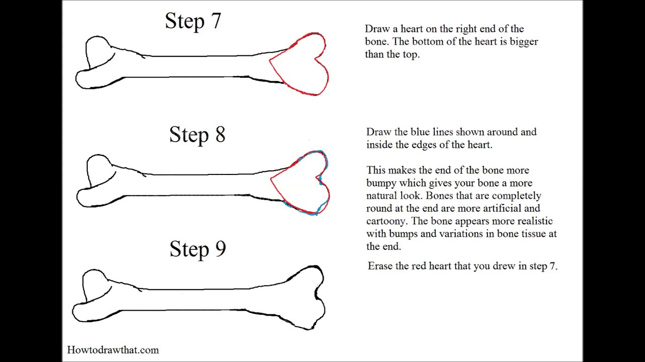 How to draw a dog bone / bones lesson step drawing tutorial - video ...