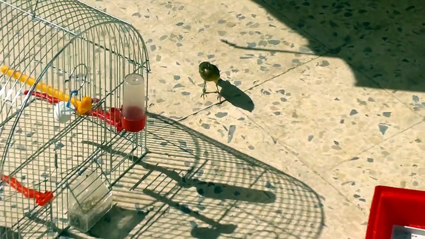 Lathan Angel videos - Dailymotion