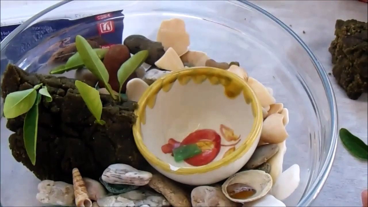 Mini Water Cycle Experiment | An Easy Science Experiment To Do With ...