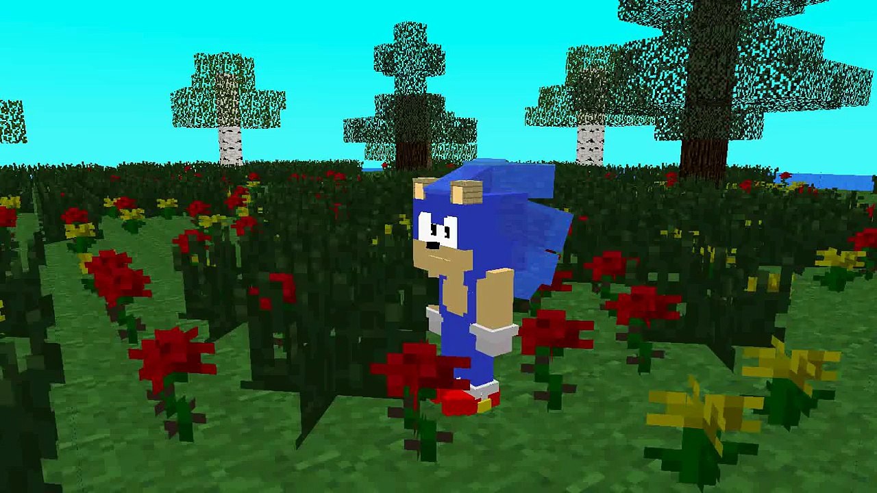 Sonic the hedgehog in minecraft animation - video Dailymotion
