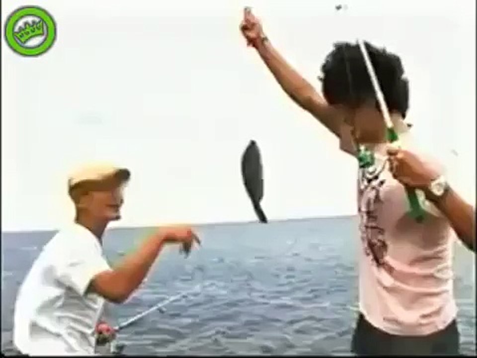 Weird Exploding Sea Creature | AMAZING VIDEO - video Dailymotion