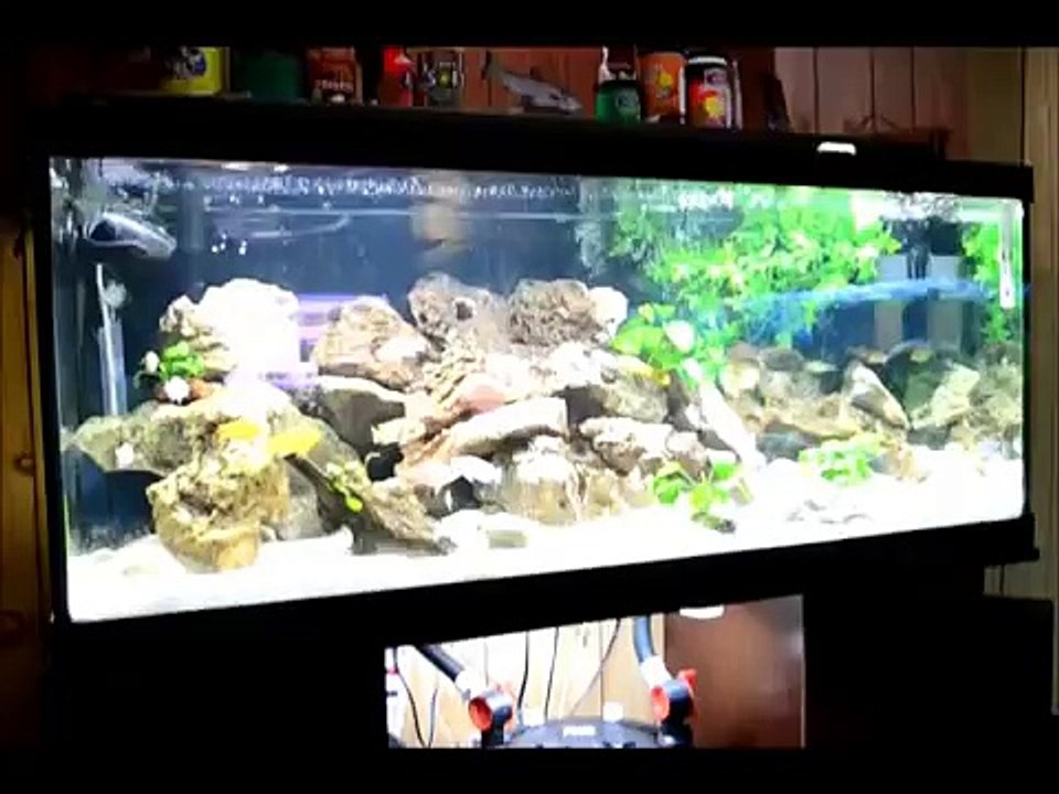 107 / Fluval FX6 ( Seachem "Matrix" installation ) - video Dailymotion