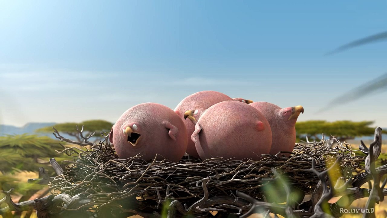 ROLLIN' SAFARI - 'Vulture' - what if animals were round? - video ...