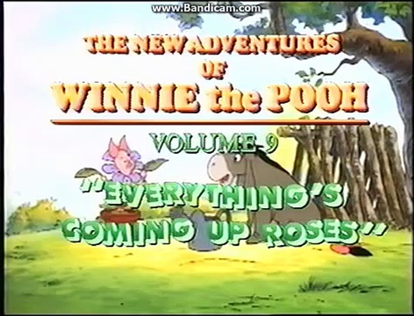 Winniethepoohvhs The New Adventures Of Winnie The Pooh Pooh