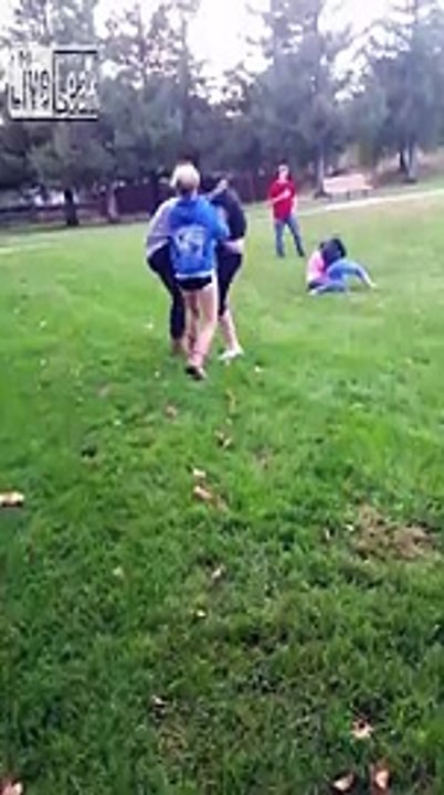 Two Sets of Girls Fighting in Local Park (MUST SEE) - video Dailymotion
