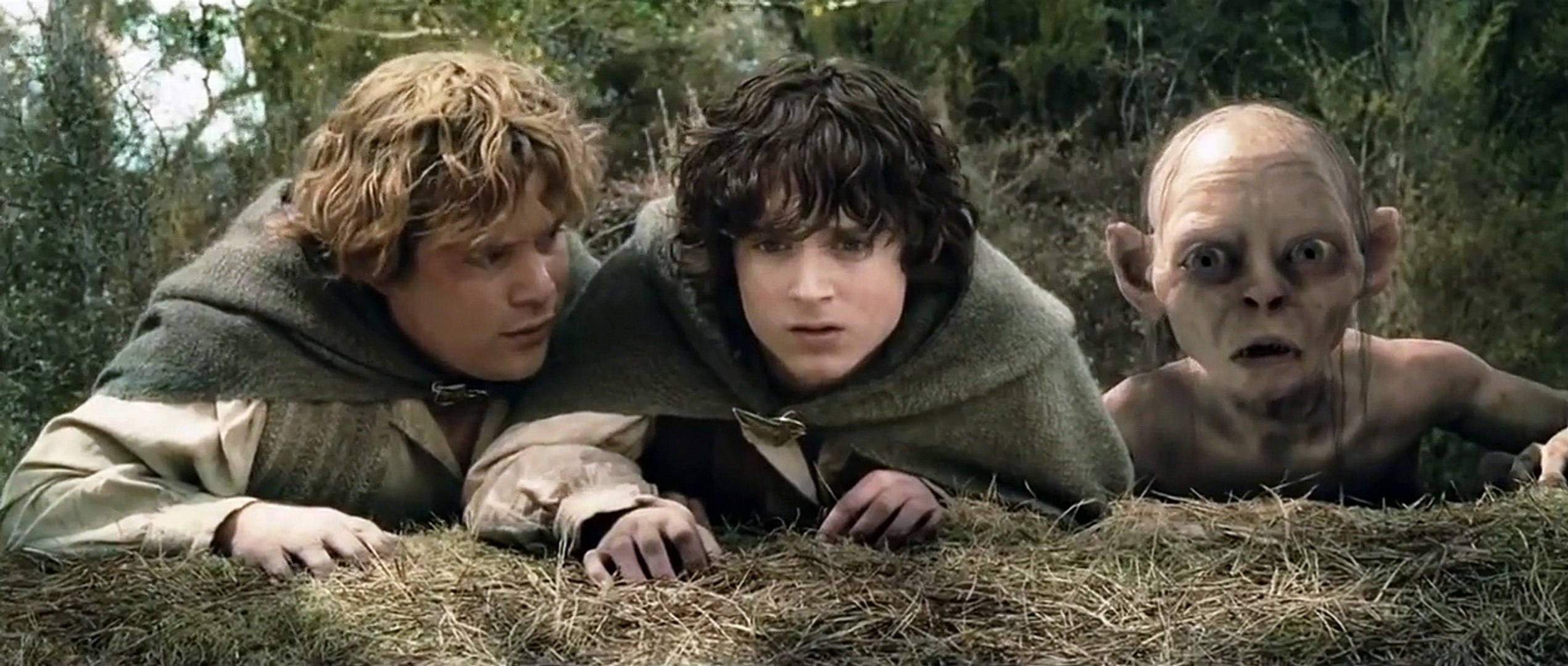 Frodo And Sam