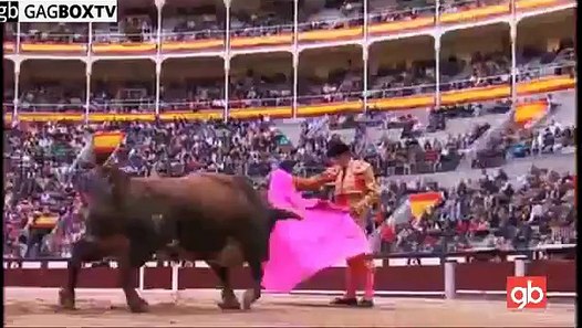 Bull Fighting Extreme Fail Compilation - Dailymotion Video
