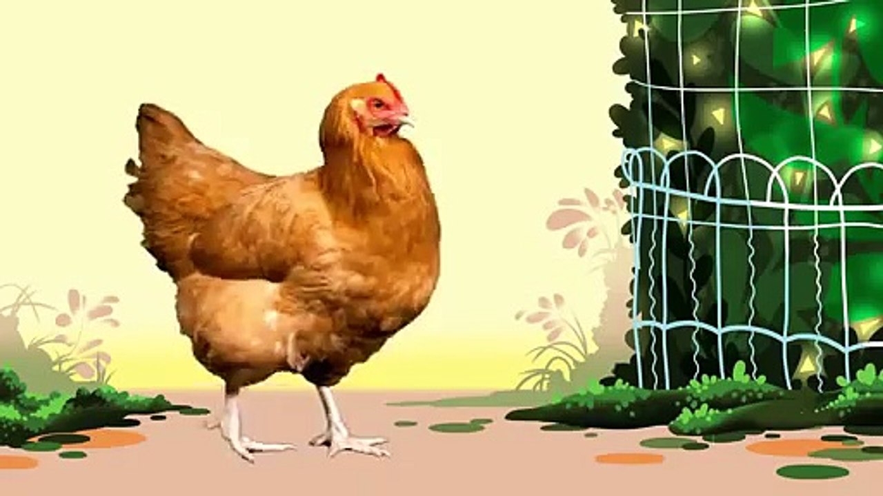 Animal Songs Chicken Bop, by StoryBots chicken dance for kids Video ...