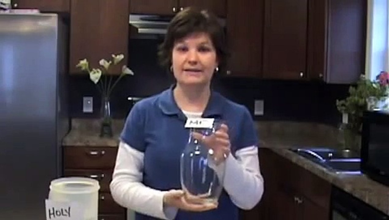 LDS Object Lesson 1: The Holy Ghost helps us make wise choices - video ...