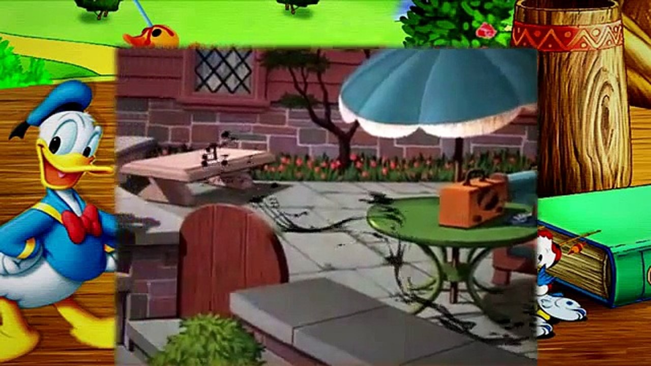 22 Donald Duck Slide Donald Slide 1949 - video Dailymotion