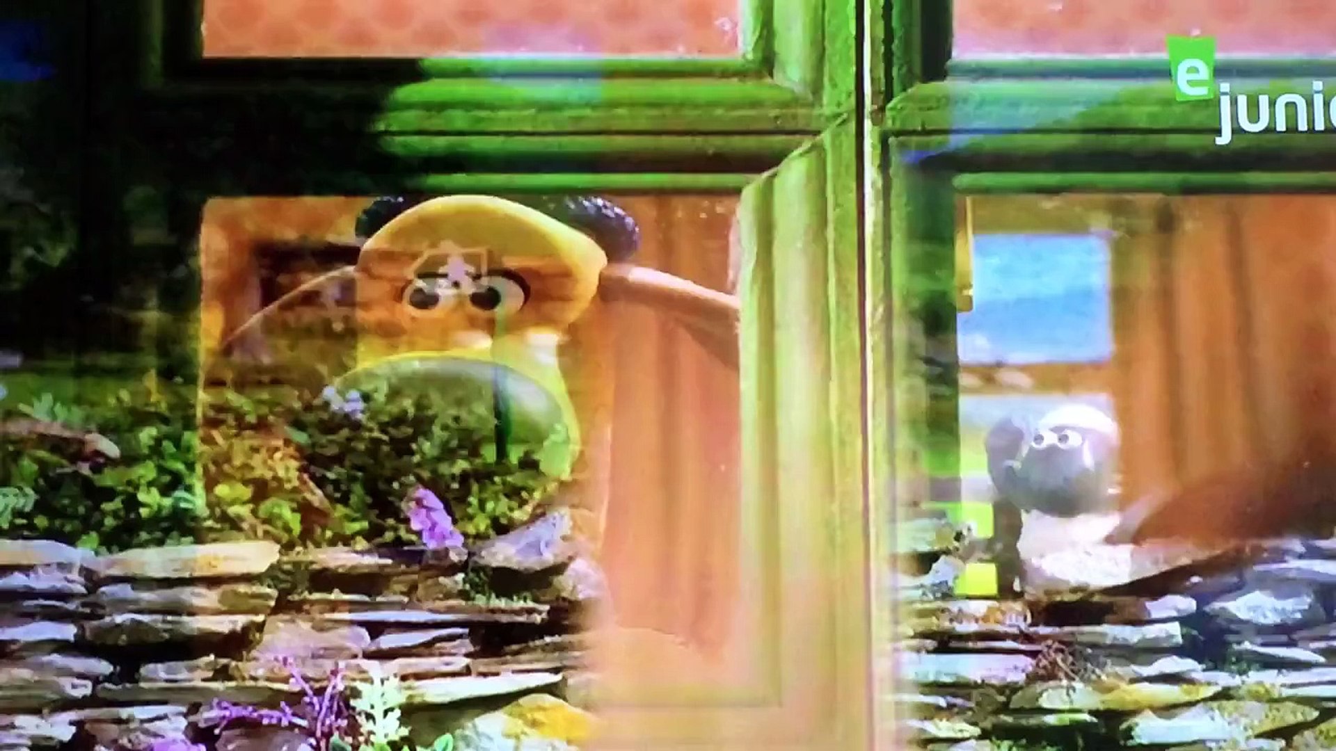 Shaun The Sheep Wallpaper Pigs