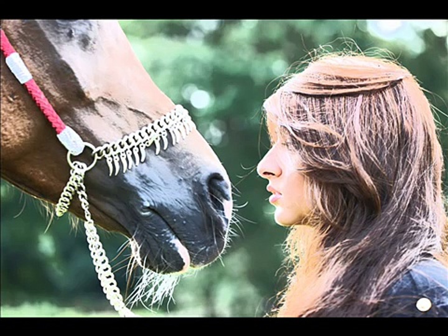 Dubai Princess Mahra With Lions