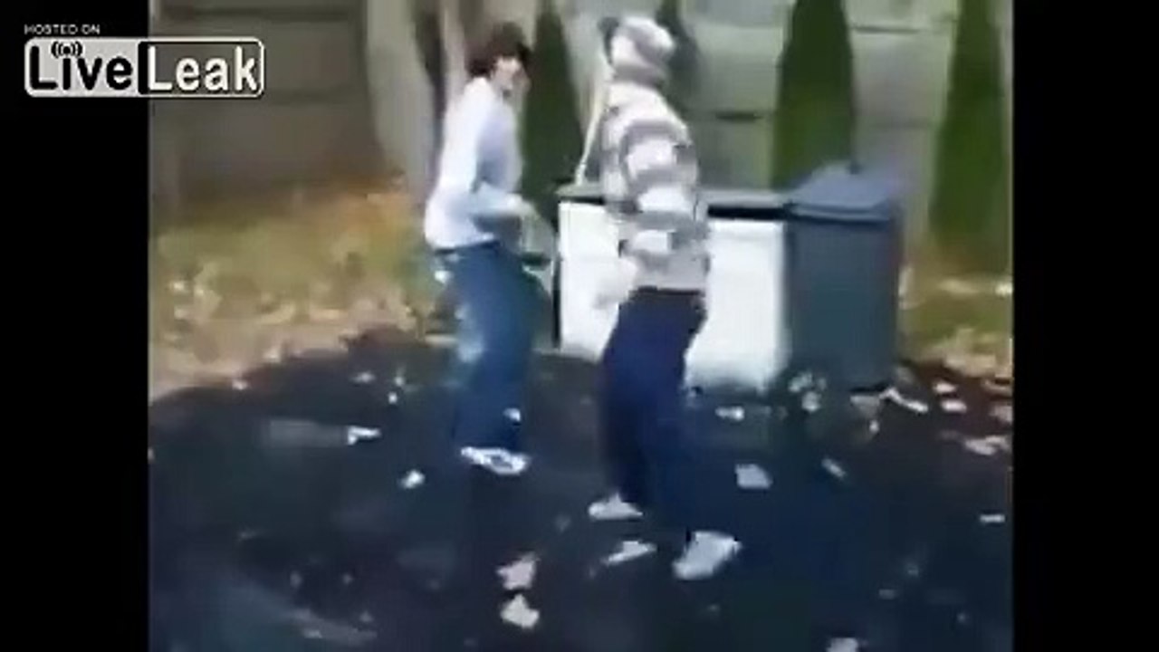 LiveLeak.com - Silly Fight, but Great Kick - video Dailymotion