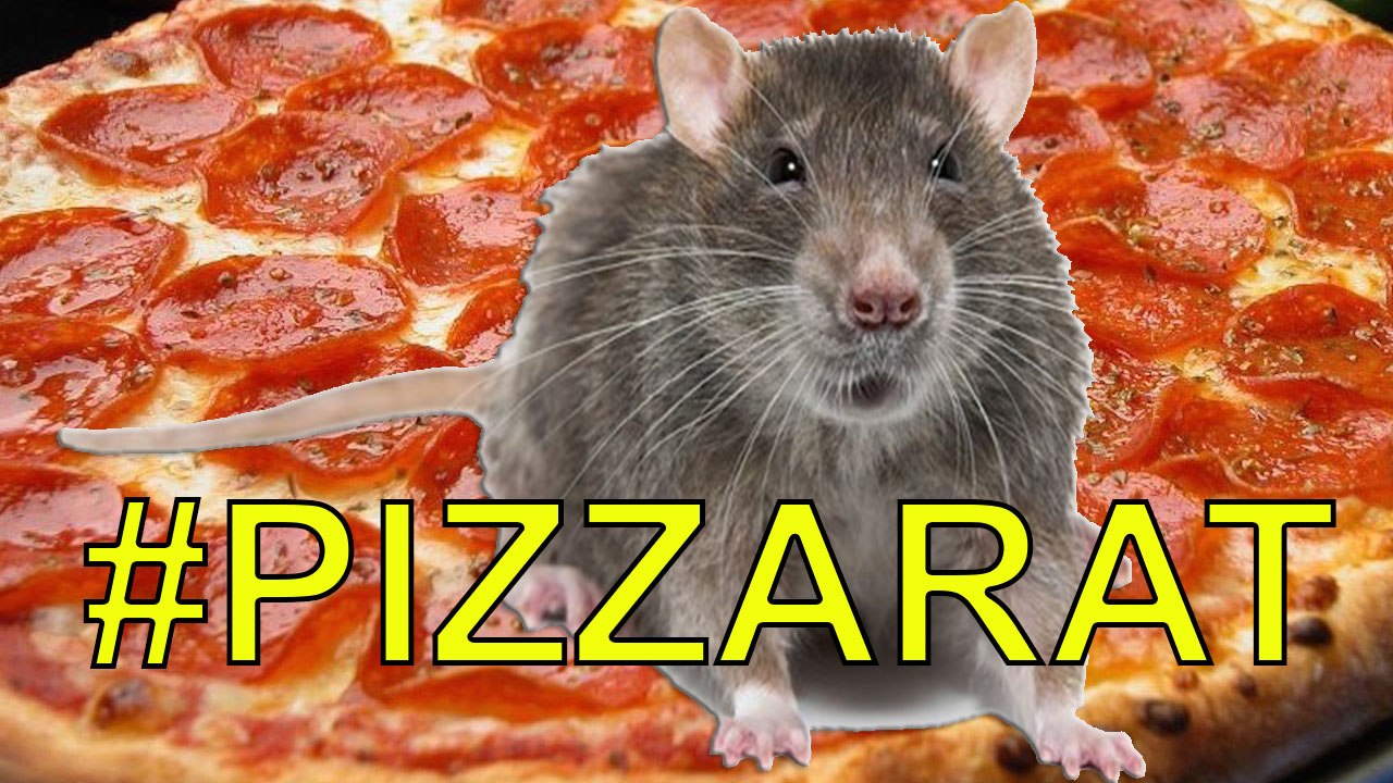 New York PIZZA RAT Desperately Wants To Eat Pizza | What's Trending Now ...