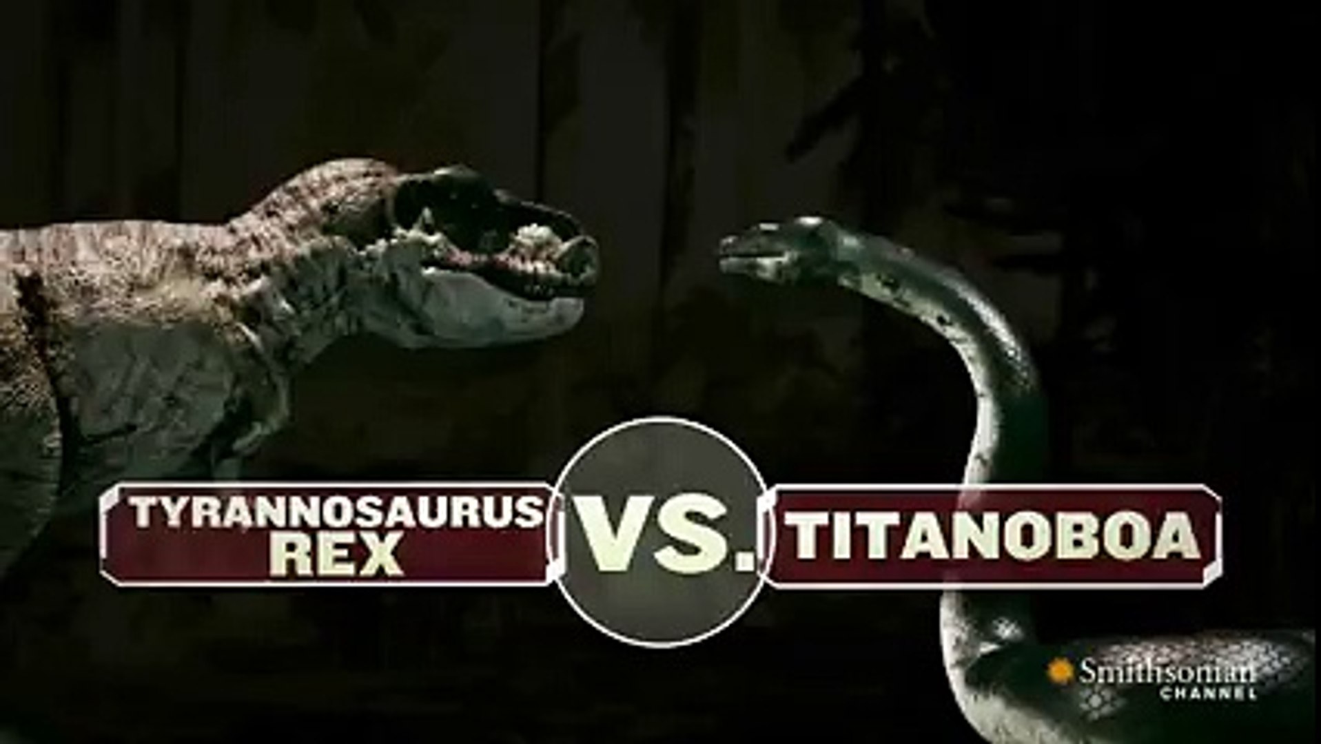 Anaconda Vs Titanoboa