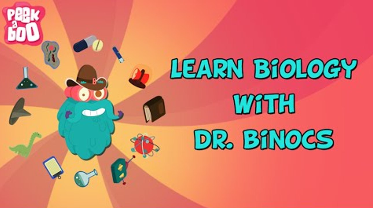 Learn Biology With Dr. Binocs | Compilation - video Dailymotion