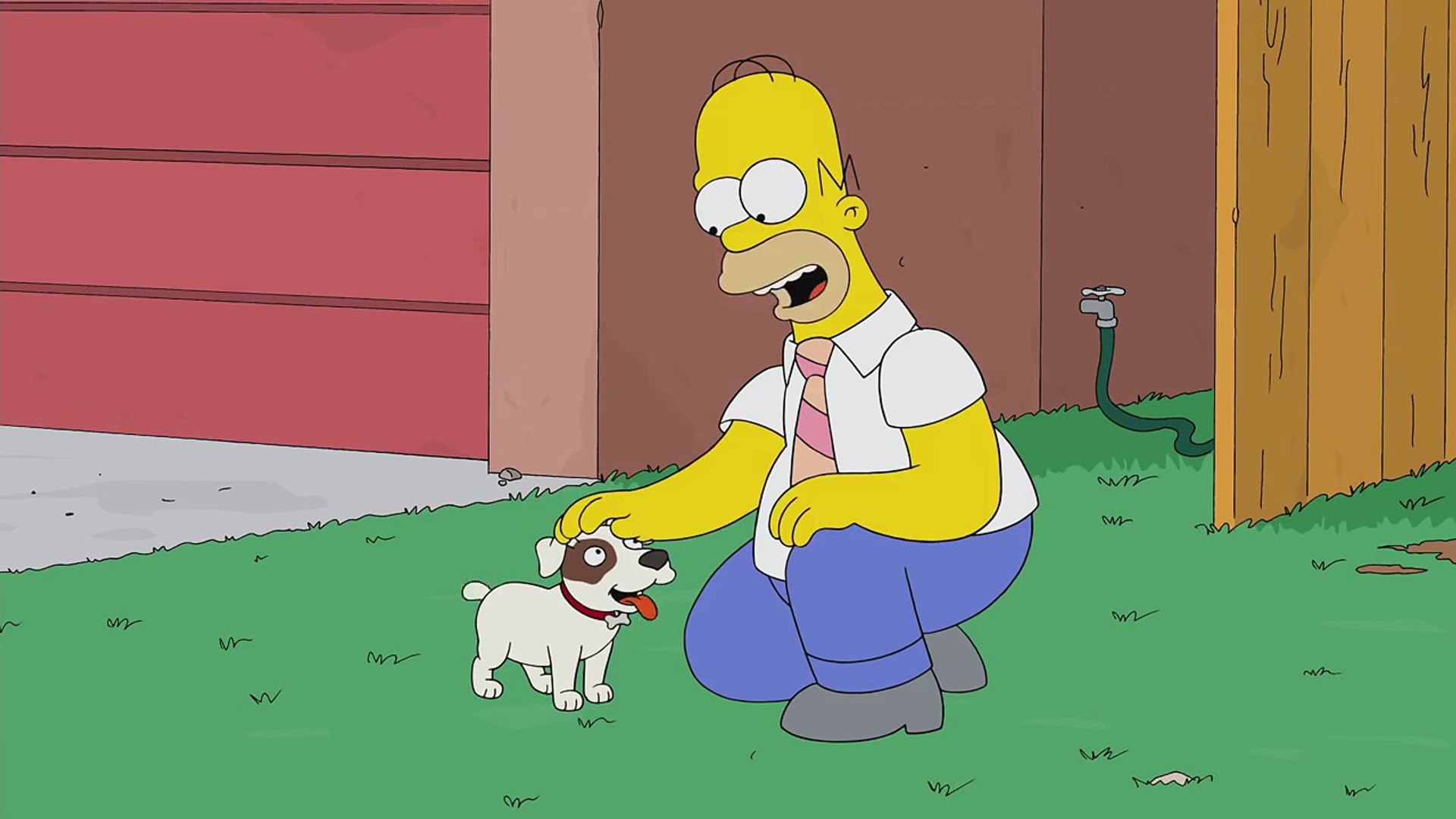 Simpsons Dog Videos