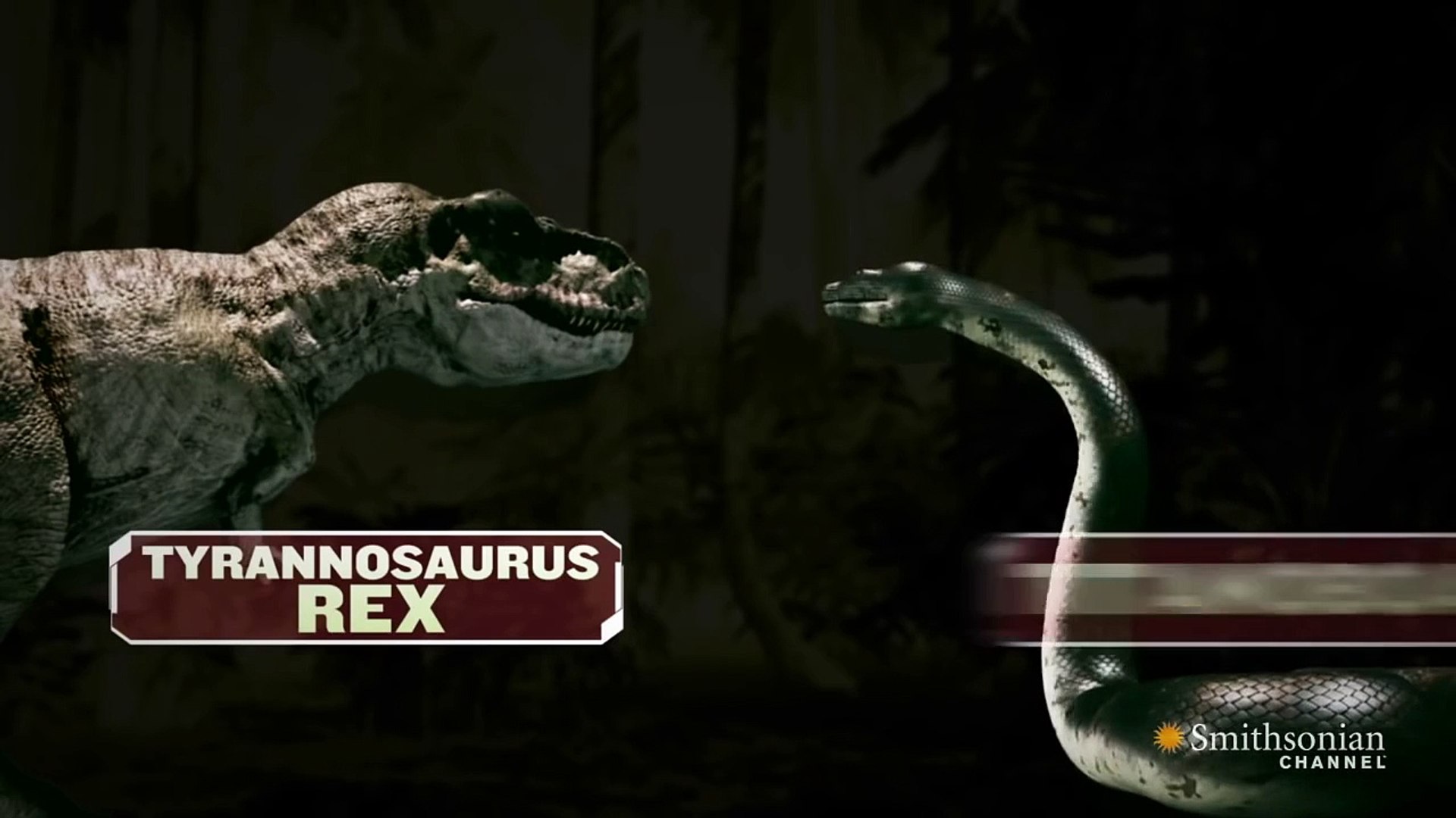 Madtsoia Vs Titanoboa