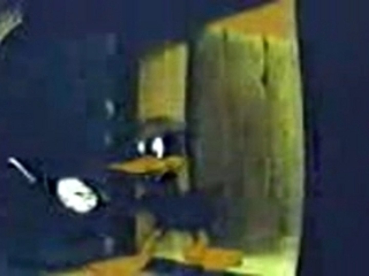 Duck Daffy The Commando