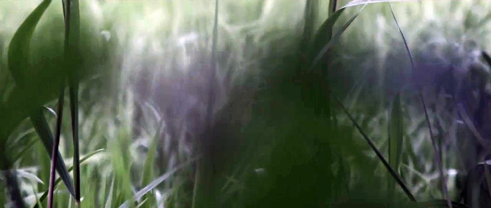 ROG | Rupika Vaidya | Trailer | HD - video Dailymotion